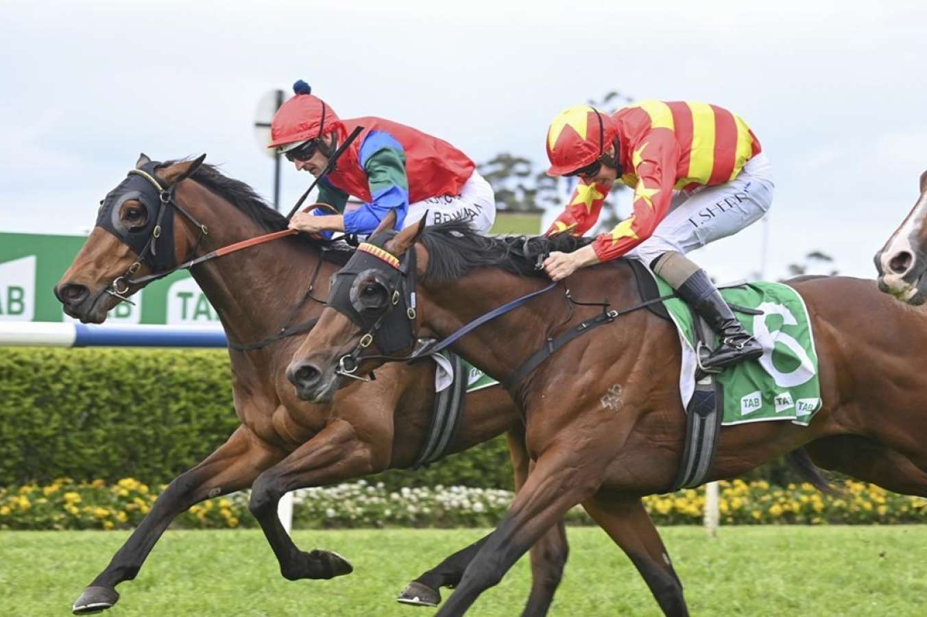 WATCH: Sharkie says Kiwi galloper main danger to Spring Champion favourite