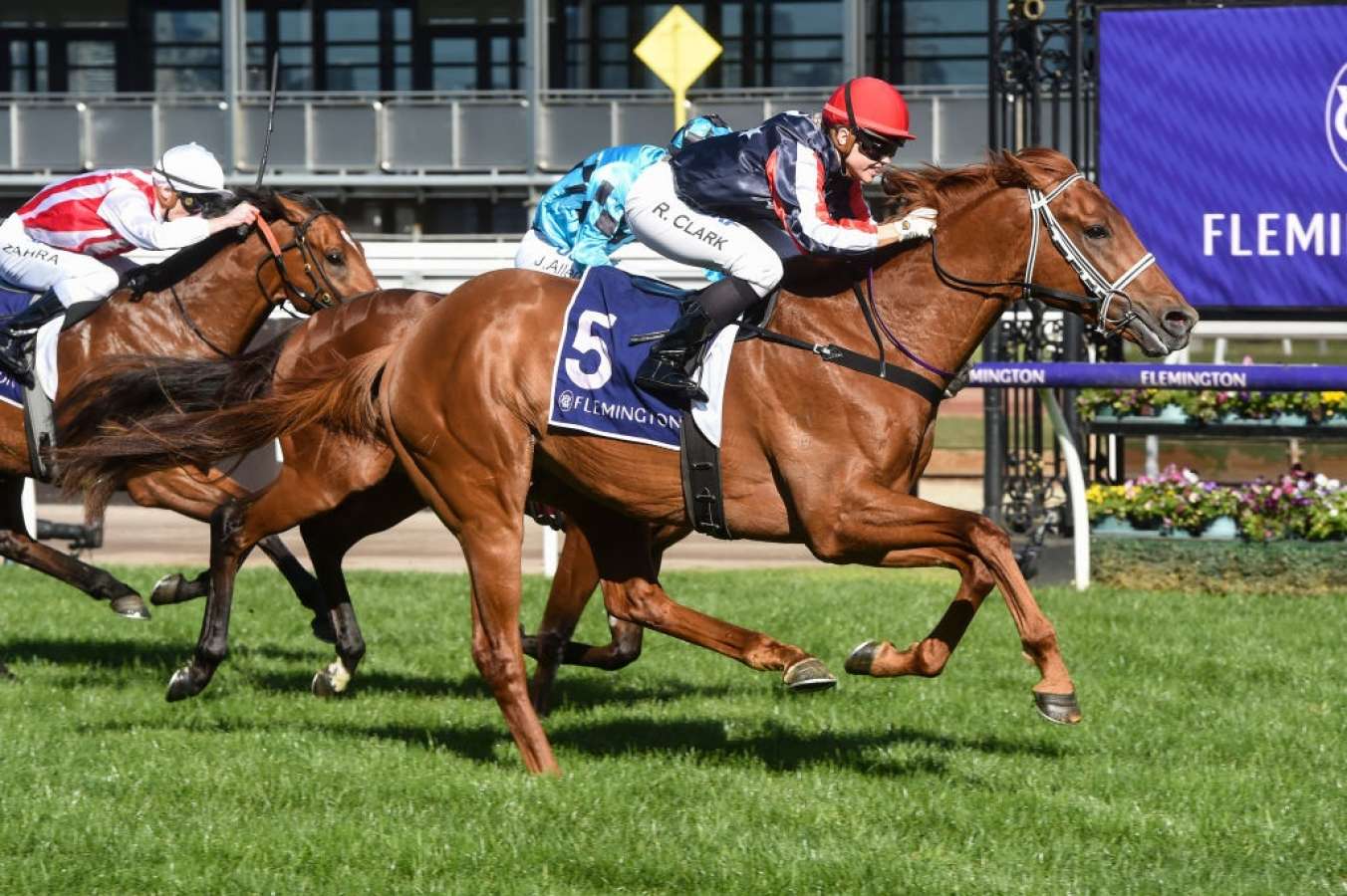 Dalasan chasing a breakthrough Group 1 win in Toorak Handicap at Caulfield