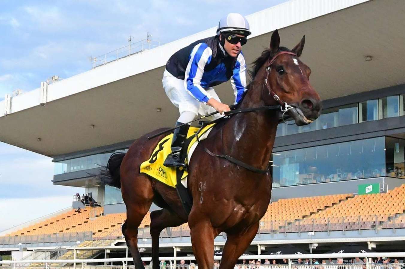 Winning machine Weona Smartone set to add to impressive record