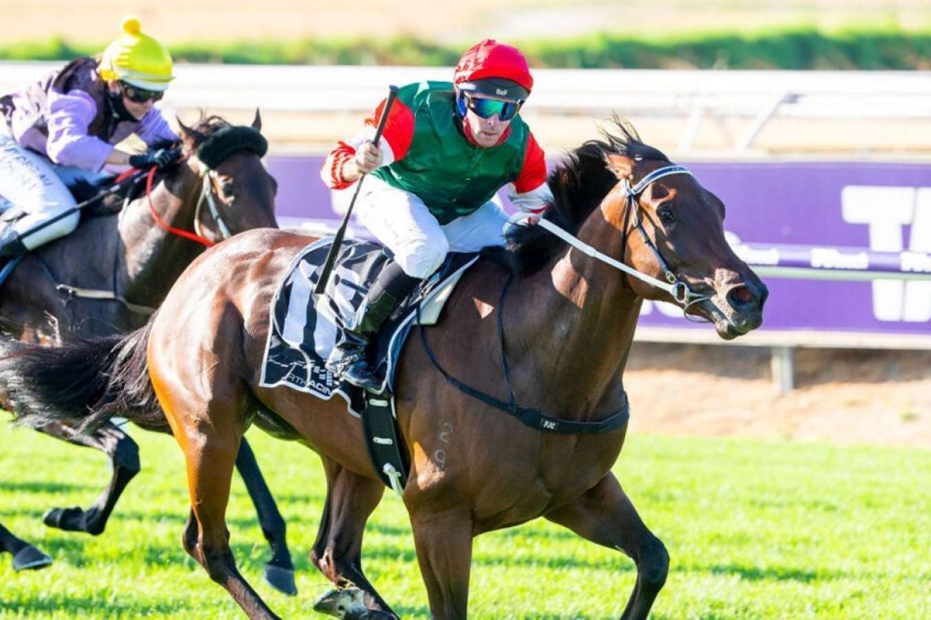 Freakish WA filly Amelias Jewel edging closer to race return