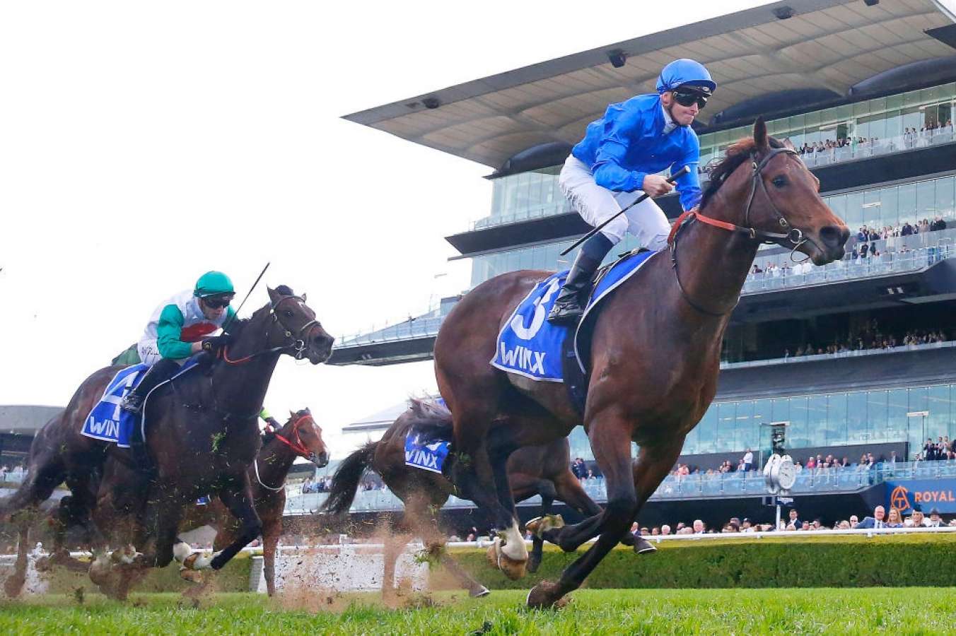 Anamoe pulls up lame after George Main Stakes win at Randwick