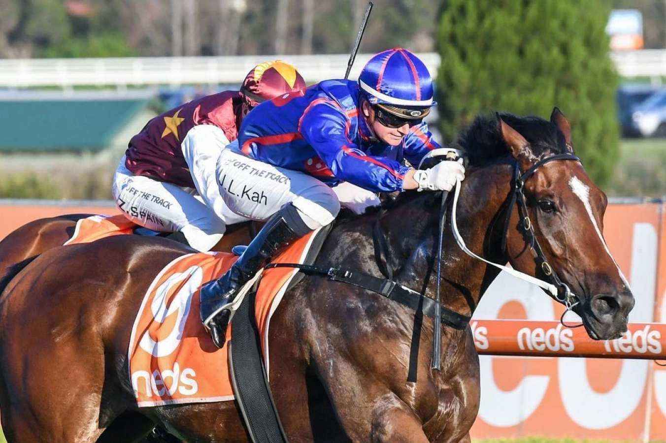 Sir Rupert Clarke Stakes: I Wish I Win stranded as emergency