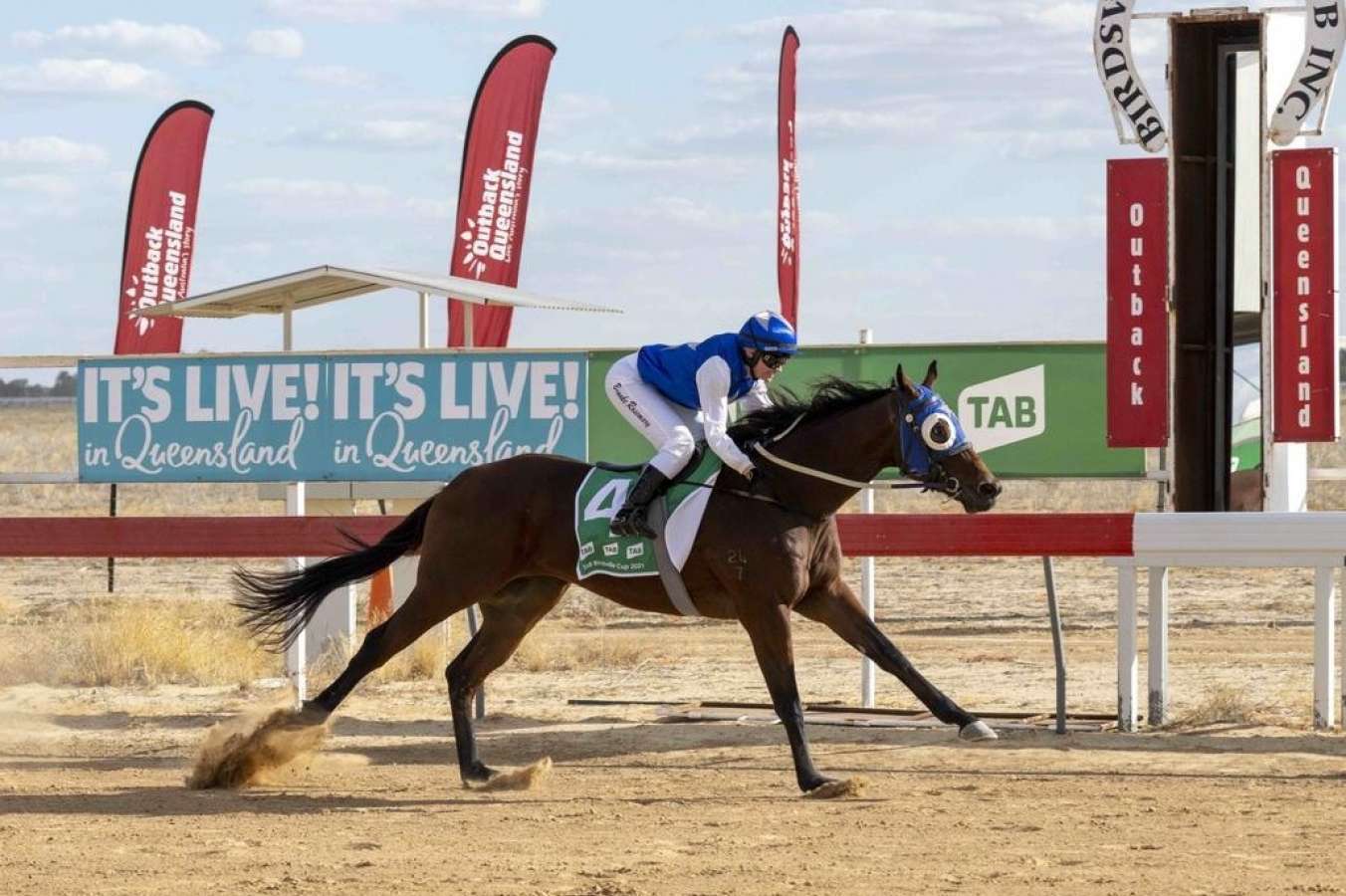 Birdsville drama: Todd Austin horses scratched following jigger scandal