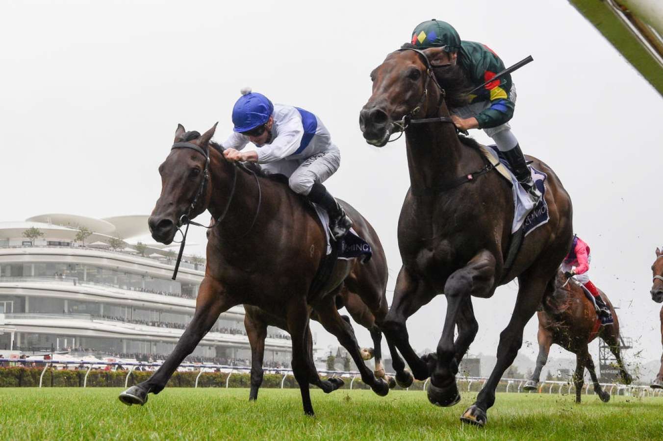 NZ galloper Catalyst on verge of long-awaited Melbourne return