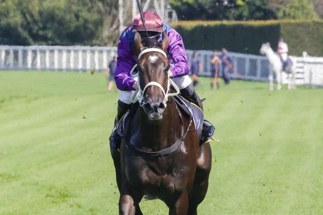 Danny Williams has high hopes for promising galloper Bandis Boy