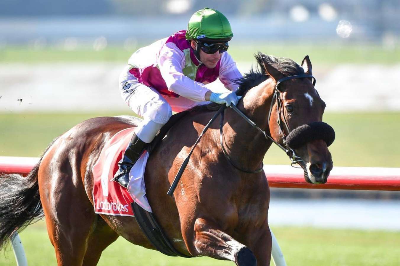 Ben Melham scores comeback win with only ride at Sandown