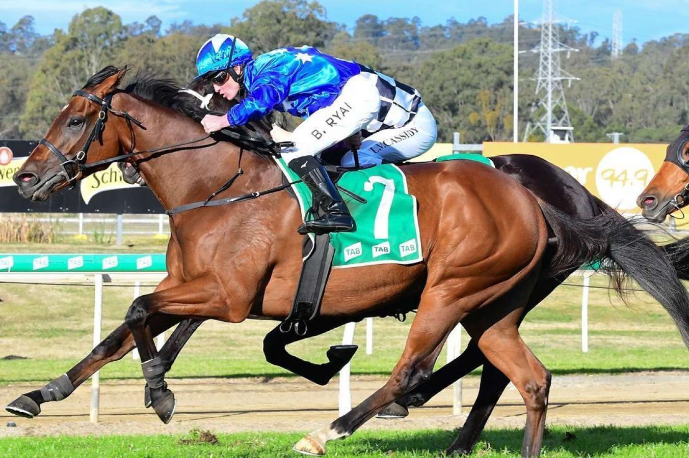 Brock Ryan to combine with Chris Munce for Grafton Cup tilt