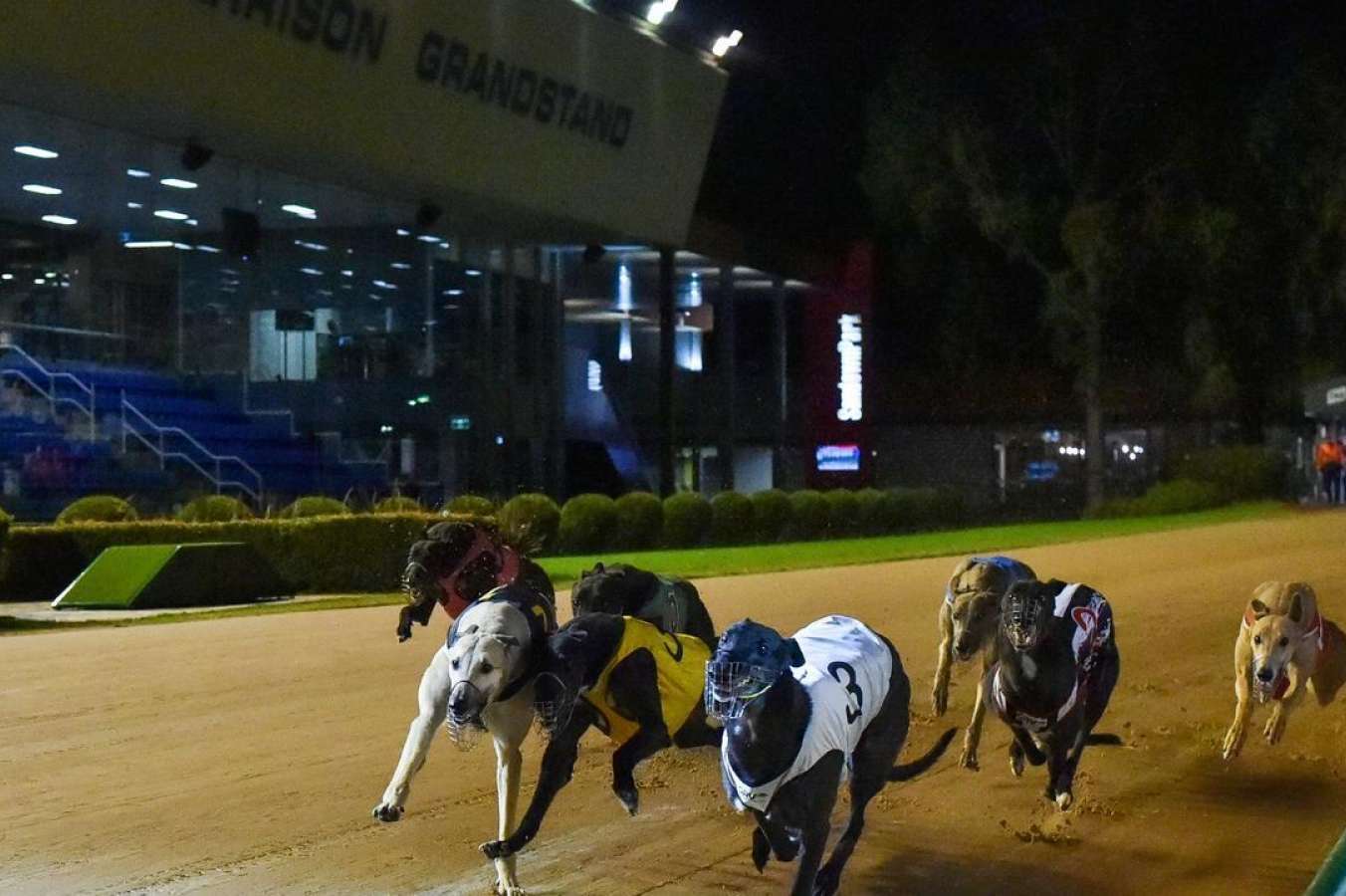 The Meadows preview: Aston Velvet ready for Great 8 test