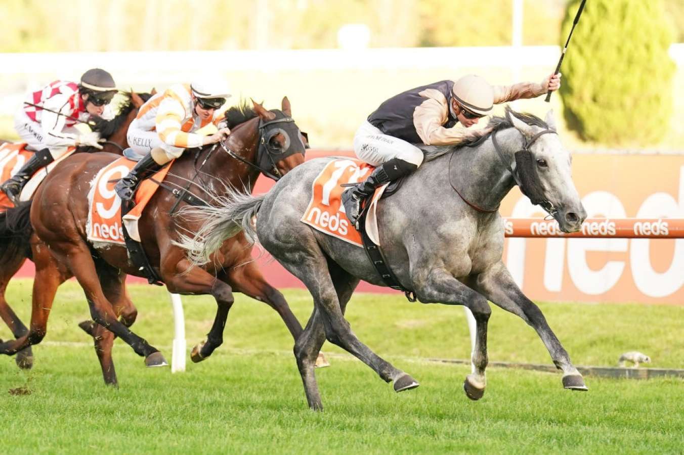 Weather key to Bedggoods Anniversary Stakes plans with Paperboy and ...