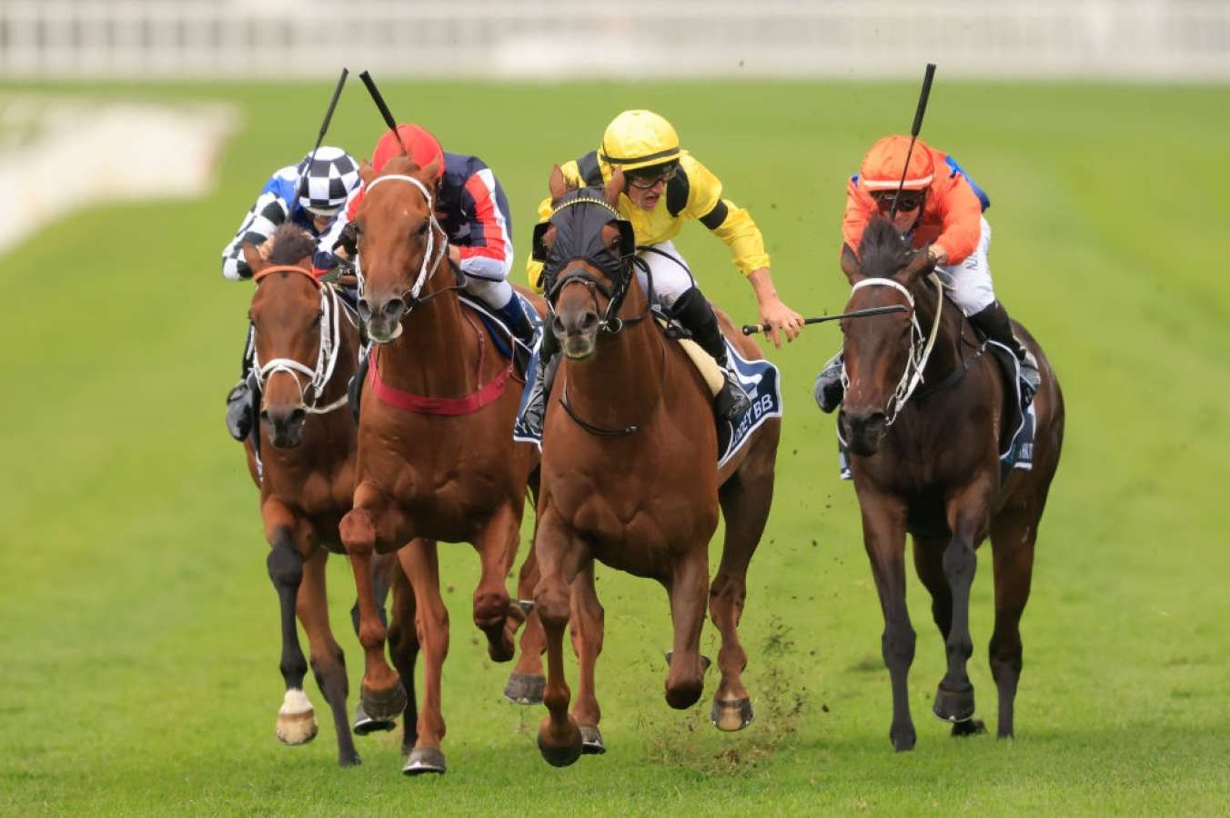 Early look at Day 2 of The Championships at Royal Randwick