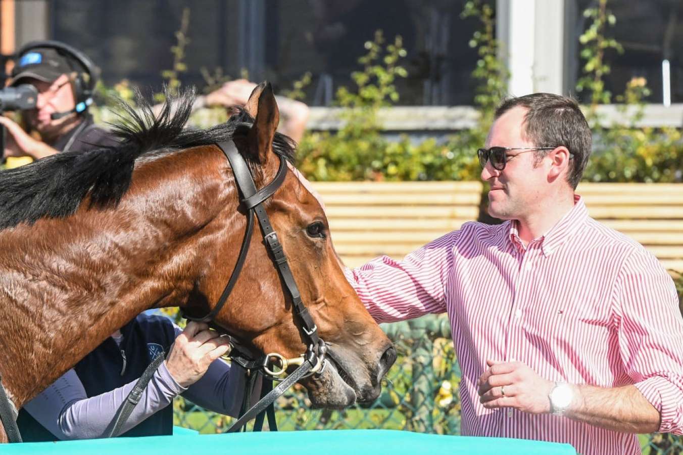 Former Hungarian star to debut for Archie Alexander in Golden Mile