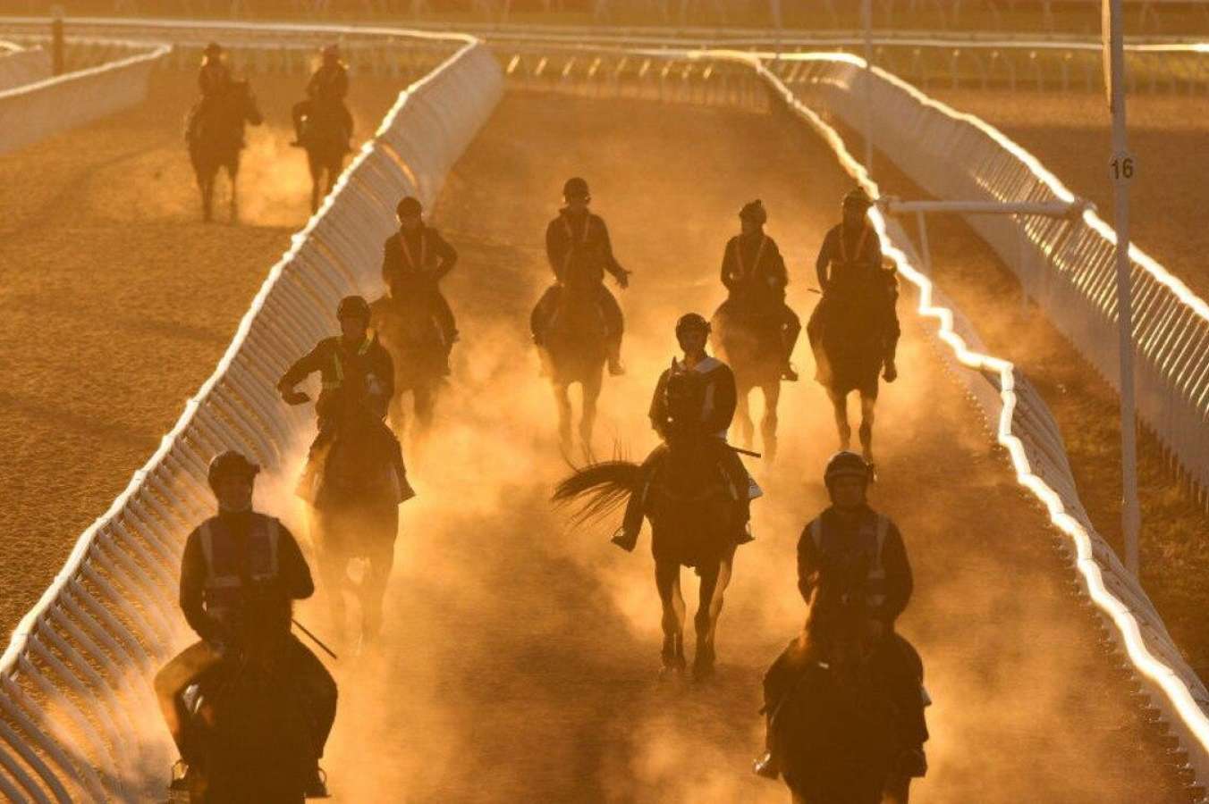 Trackwork riders busted in same sting that caught Jason Holder