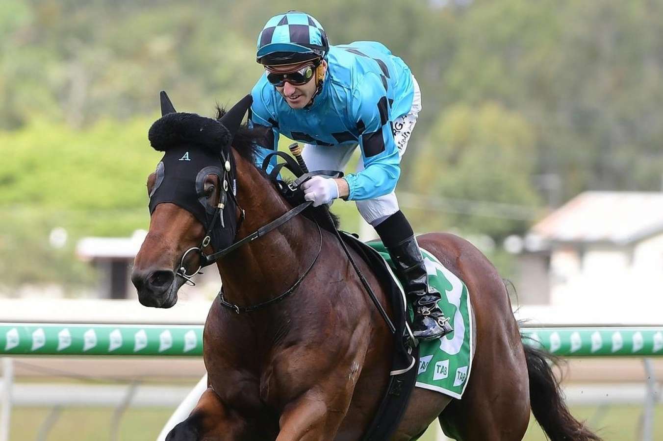 Kacy Fogden hopes interstate plans help barrier rogue