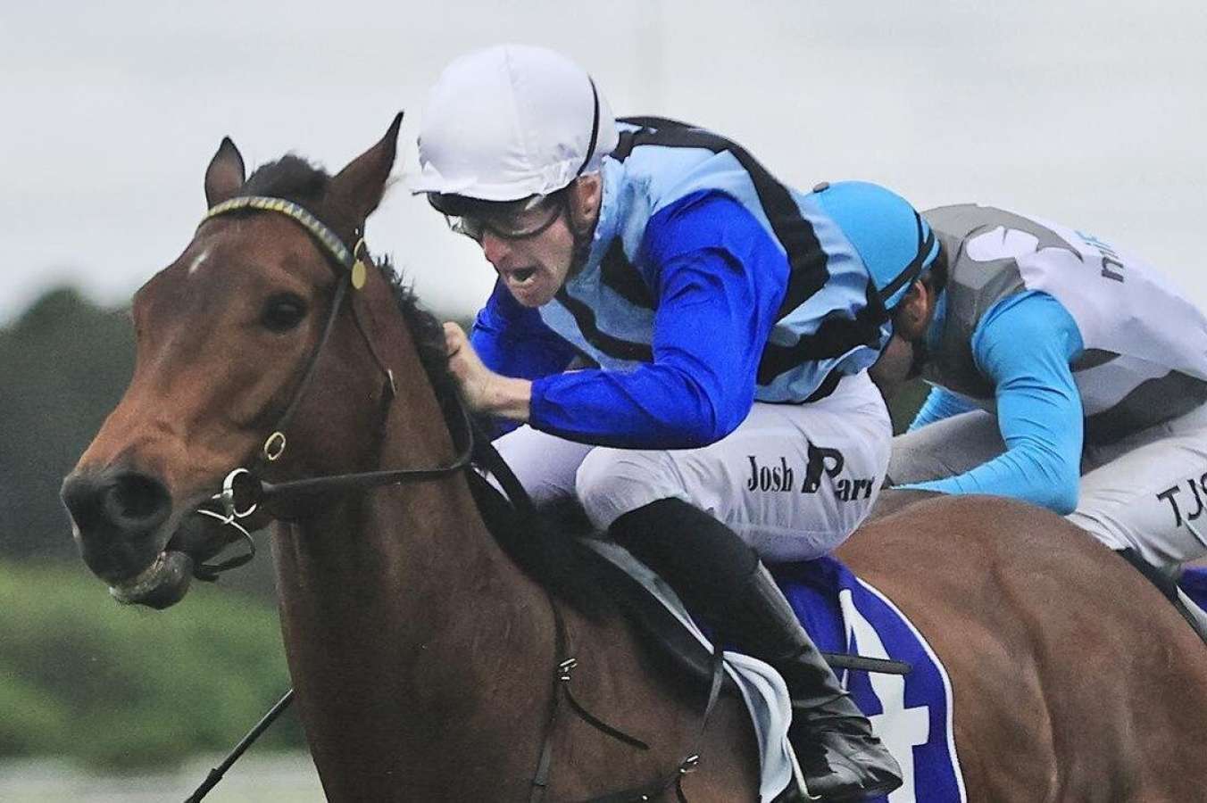 Randwick: Gerald Ryan keeps expectations low with Steely