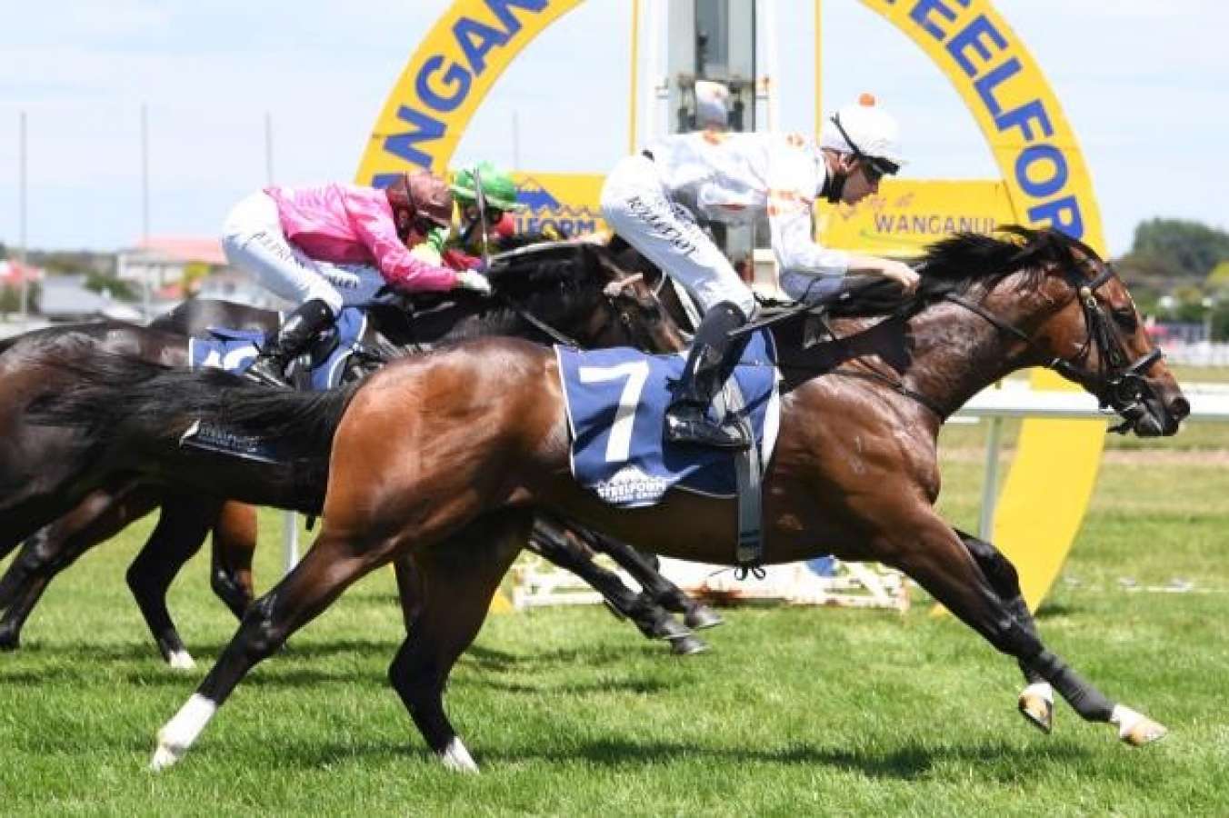 Ben and JD Hayes acquire potential G1 horse from New Zealand