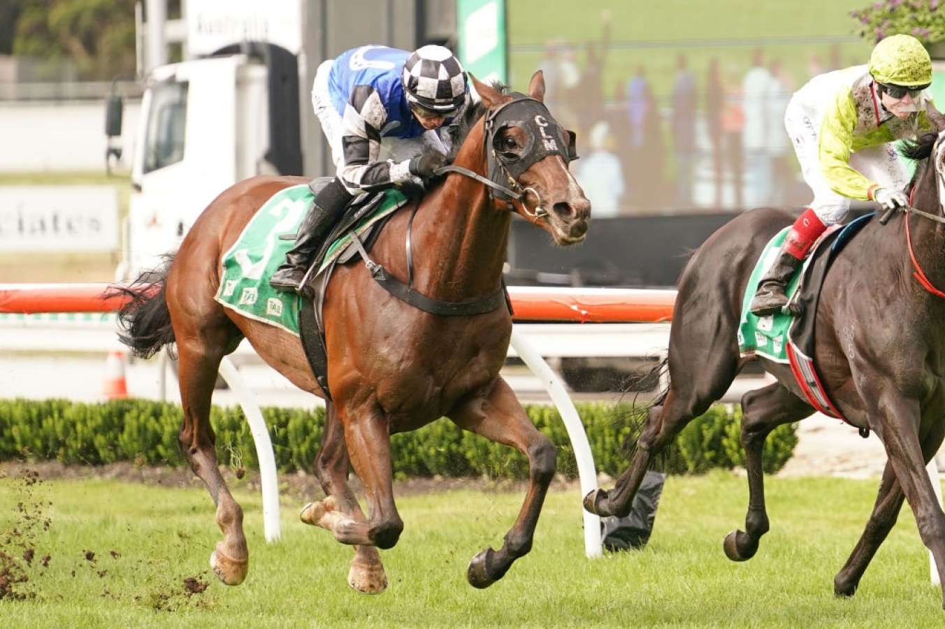 Australian Bloodstock import opens favourite for Pakenham Cup