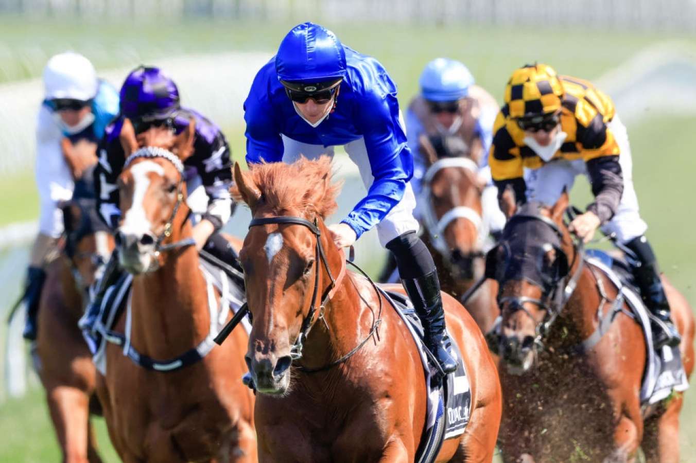 Roman Consul Stakes winner Paulele in contention for Everest slot