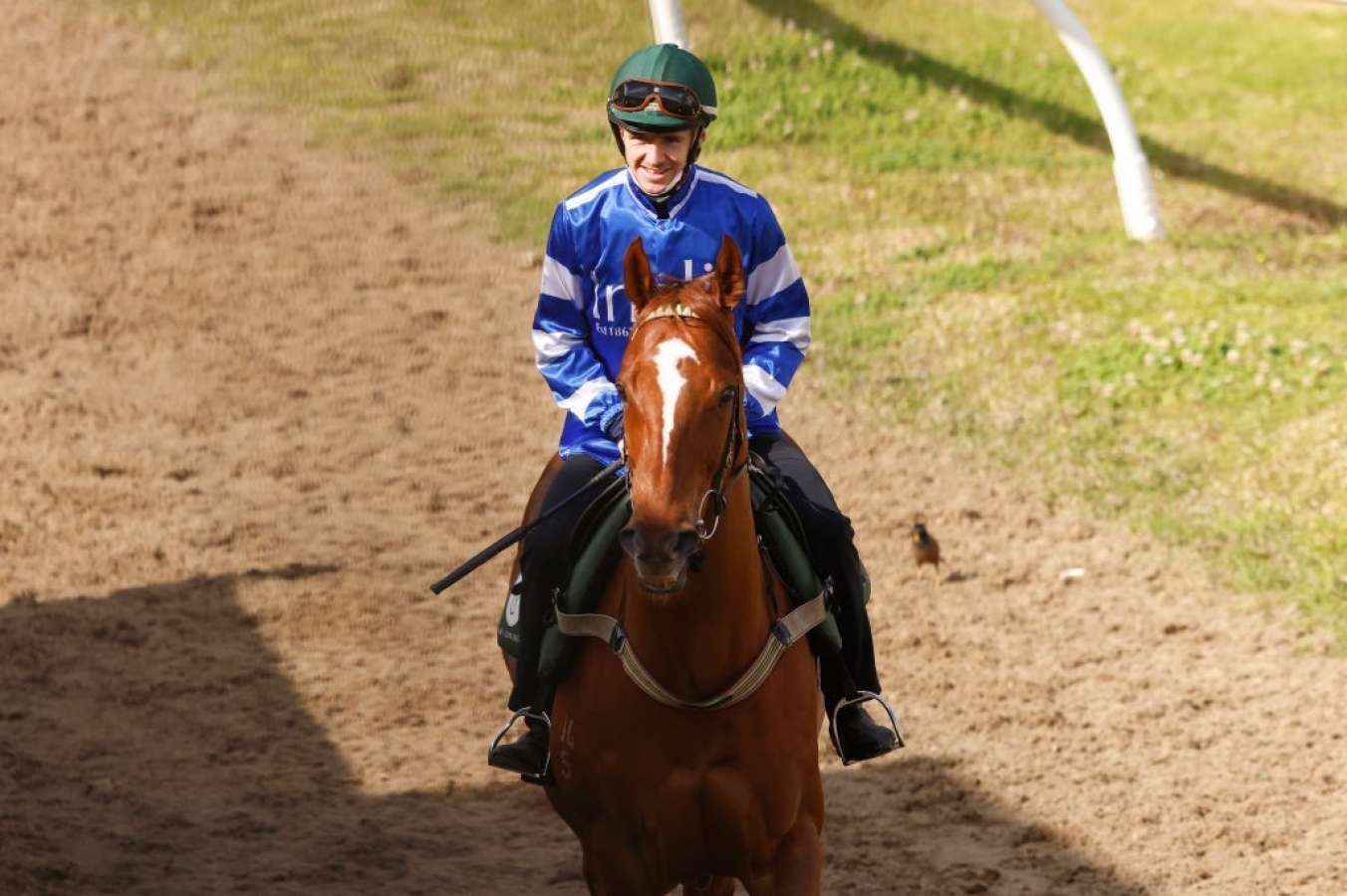 The Everest: Richards gives star sprinter Gytrash tick of approval