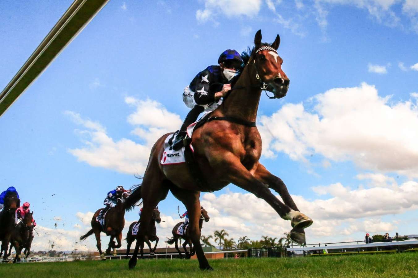 Big Parade ready to realise potential after sizzling return