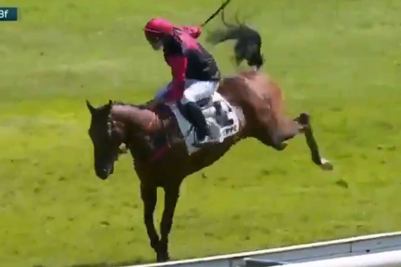 Things You Might Have Missed - August 16