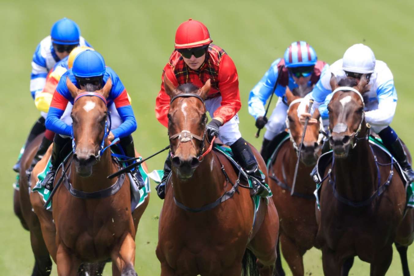 Scone, Albury previews: River to rise to the top for Scott Singleton