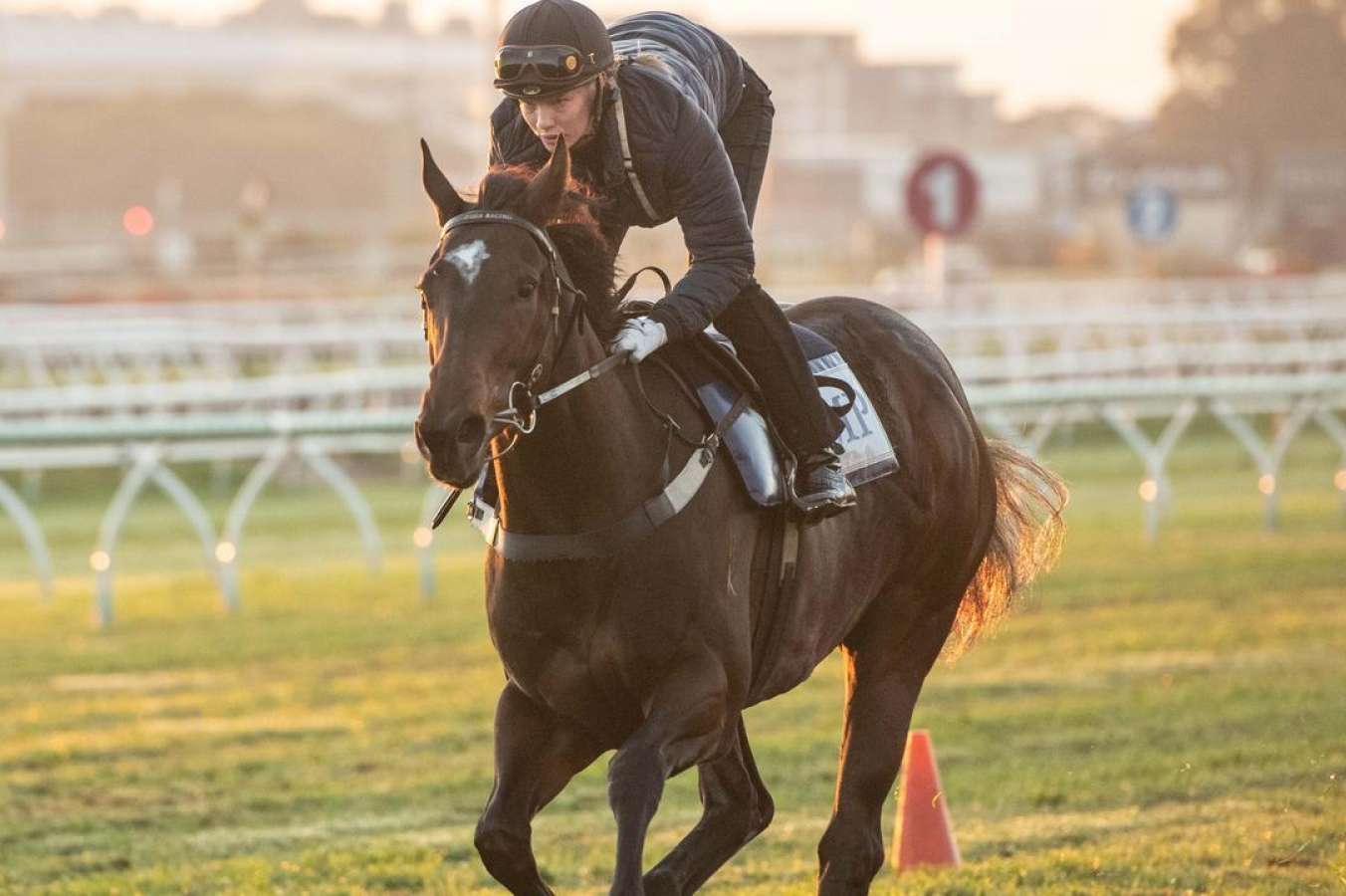 Mick Price loses the gear to improve Odeums barrier manners