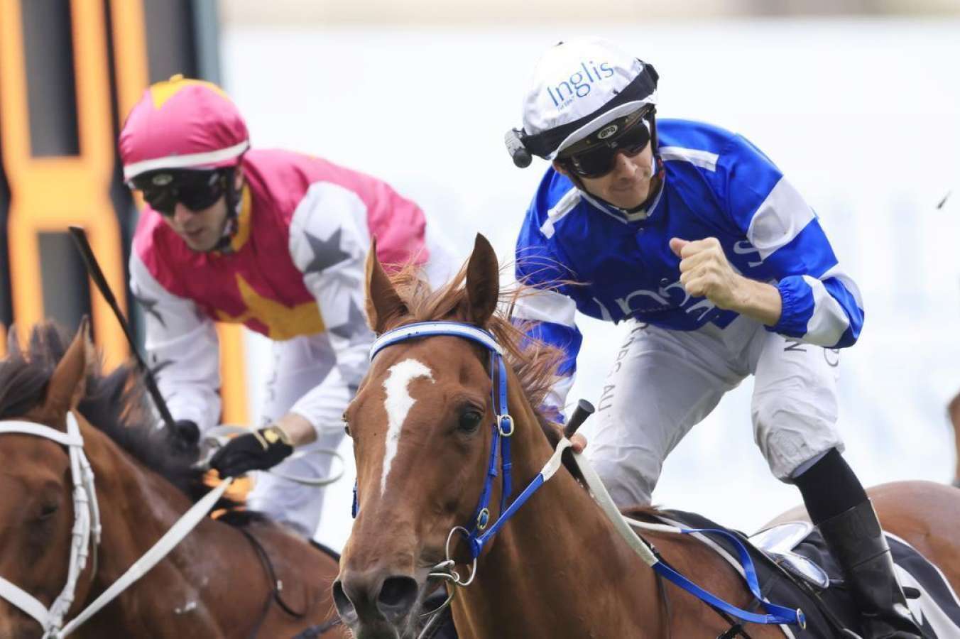 Gordon Richards confirms star sprinter Gytrash is Kingsford-Smith bound