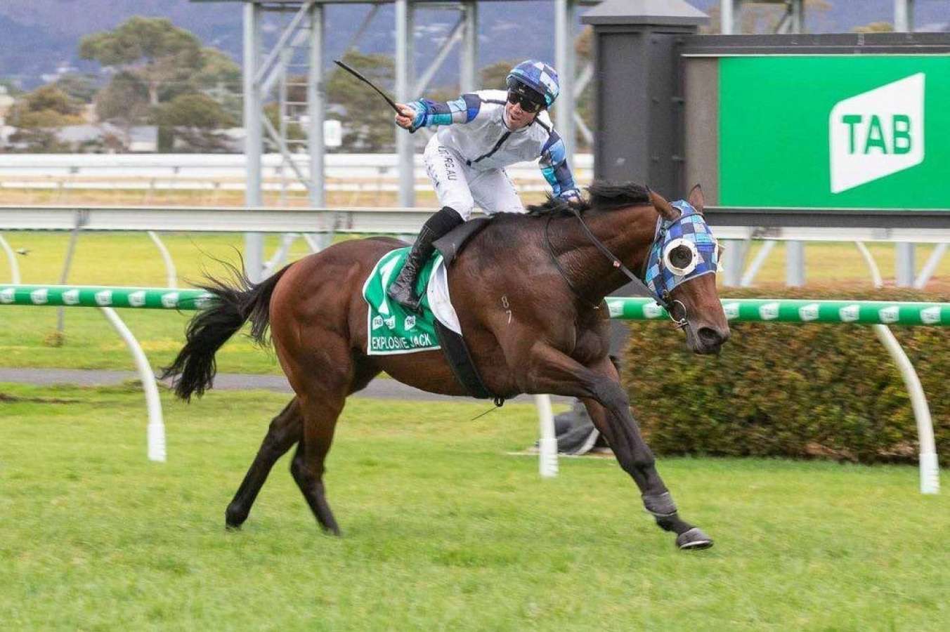 Explosive Jack scores third Derby win in G1 staying feature