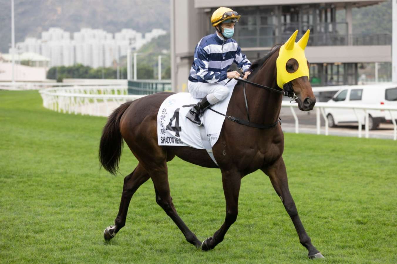 Shadow Hero to return to Australia after failed Hong Kong venture