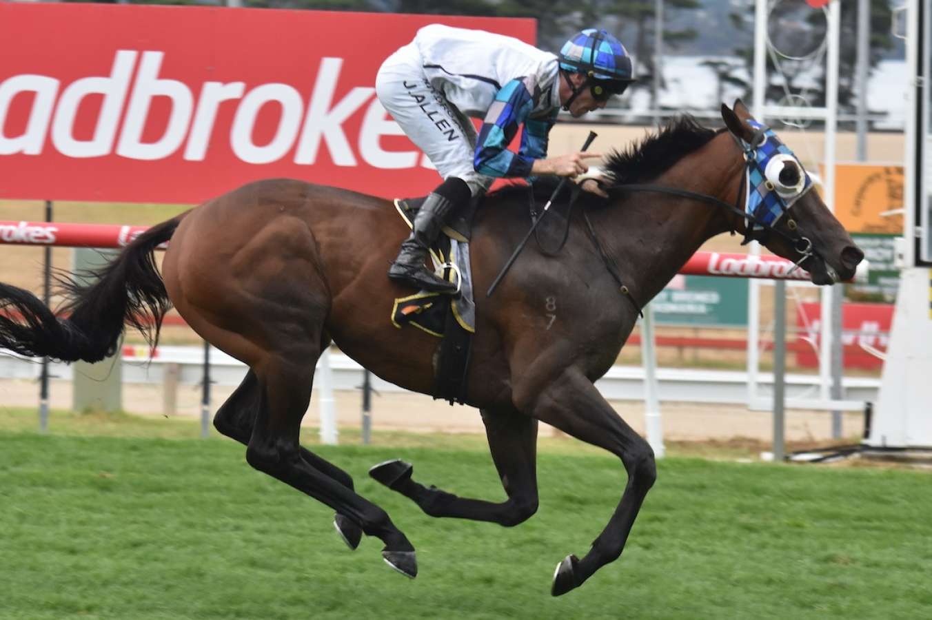 Explosive Jack blows rivals away in Tasmanian Derby