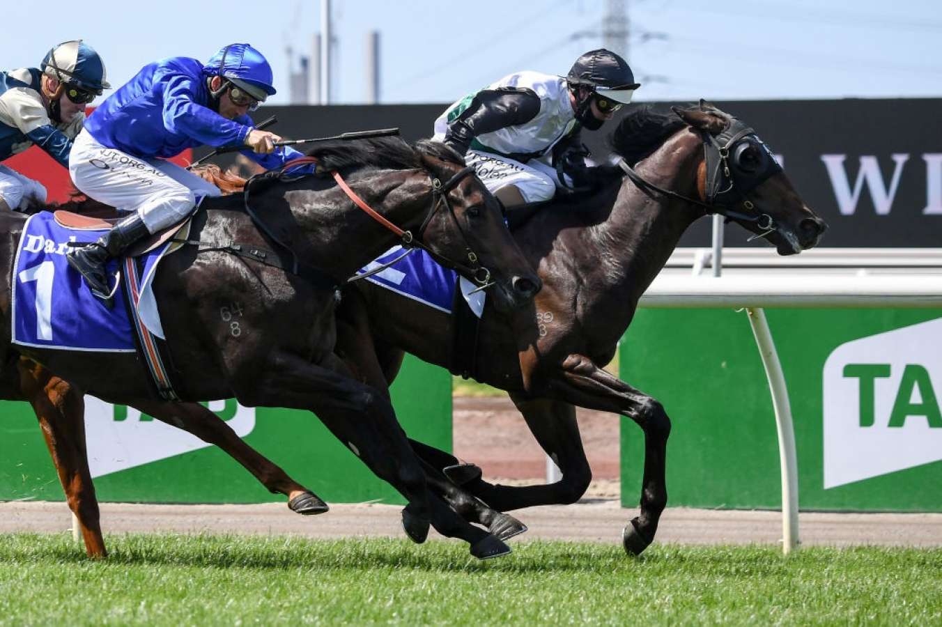 Luke Nolen looks to make one Magic Millions ride count