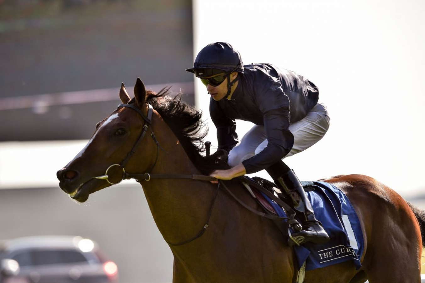 Aidan OBrien camp: Armorys Cox Plate form superior to Adelaide