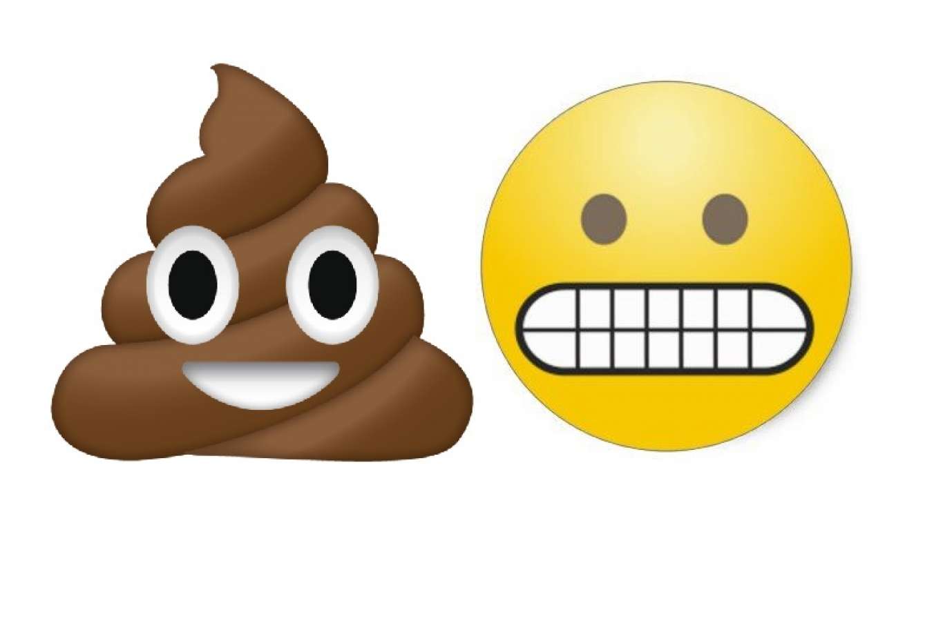 Bizarre Kiwi horse name raises a few eyebrows