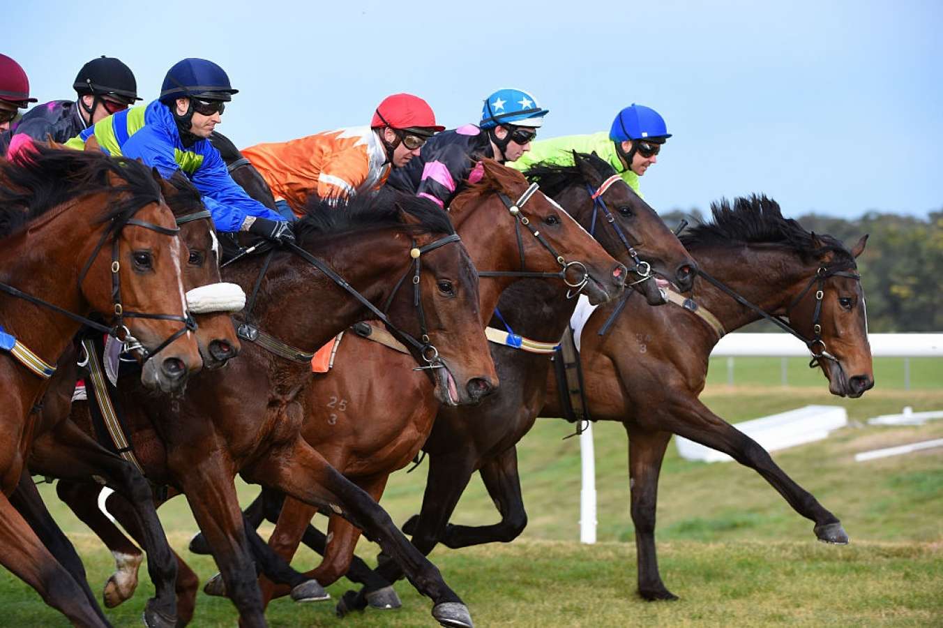 Q & A with pro punters from Champion Bets: Part II