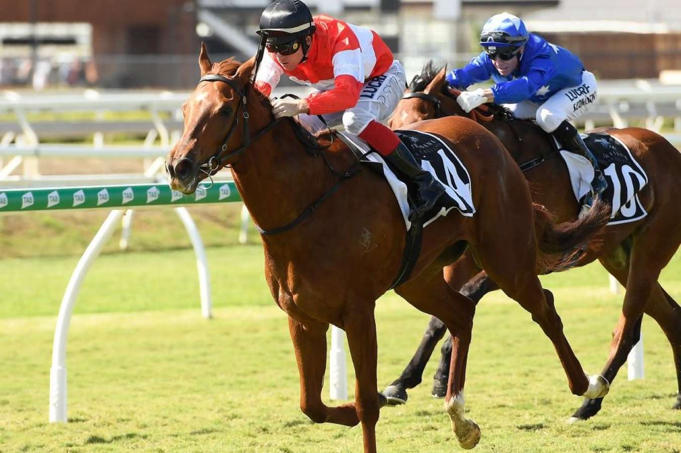 Ginger ready to rock after setbacks