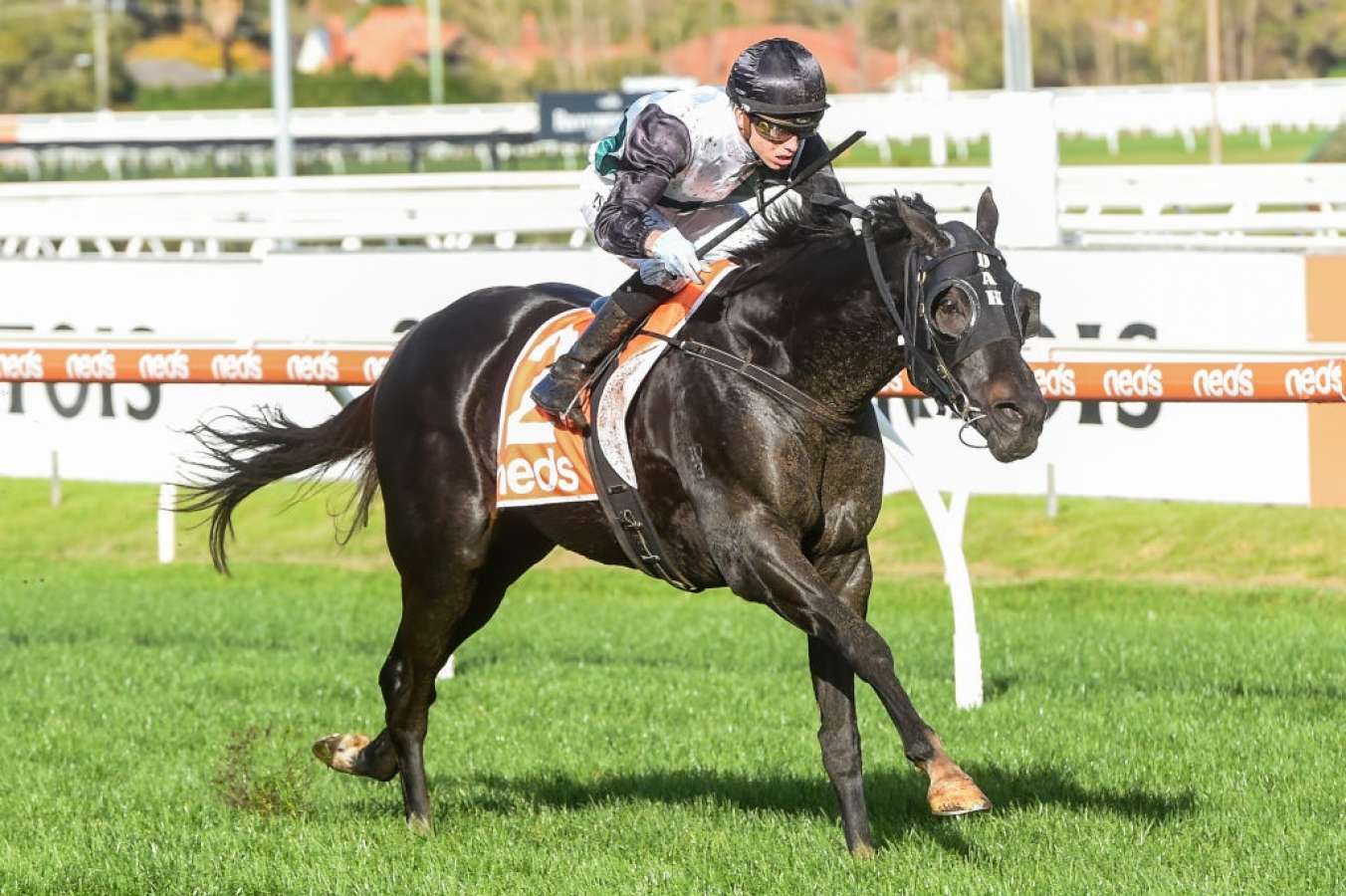 So Si Bon looks to go back-to-back in Auries Star Handicap