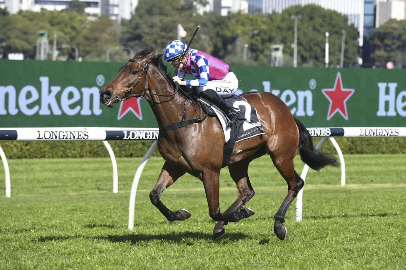 Man Of Peace signals The Kosciuszko intentions