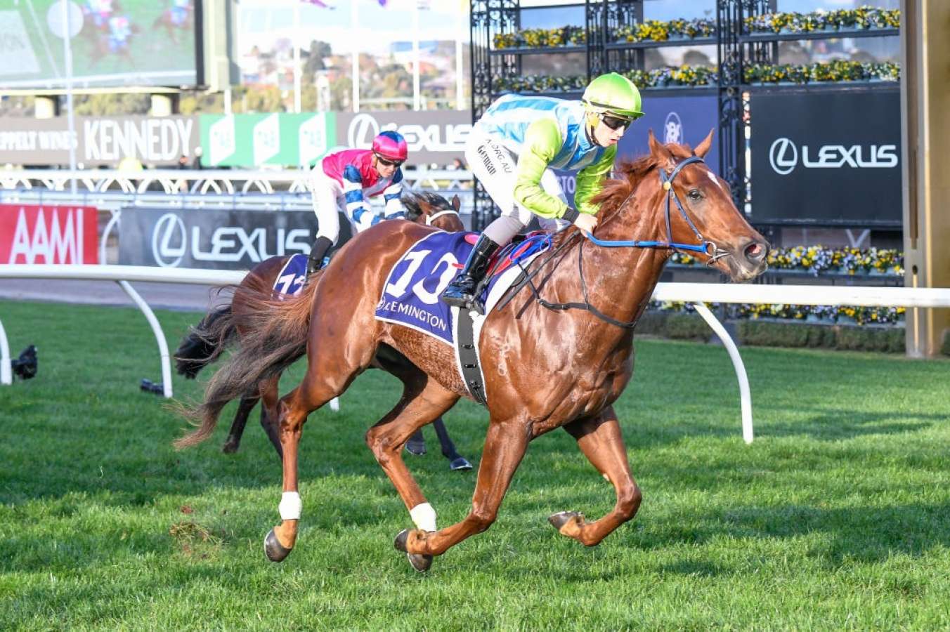 Front Page the headline act at Flemington