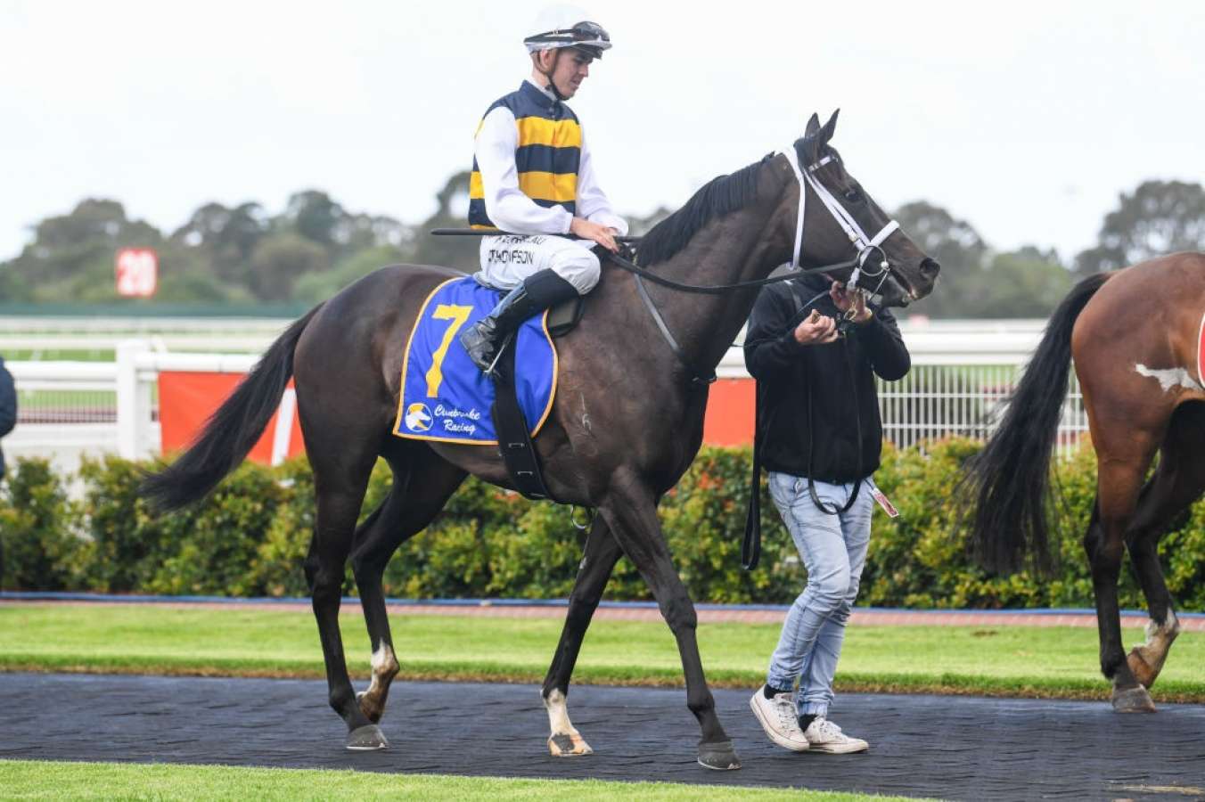 Phillip Stokes-trained Selica freshened for Rivette Series