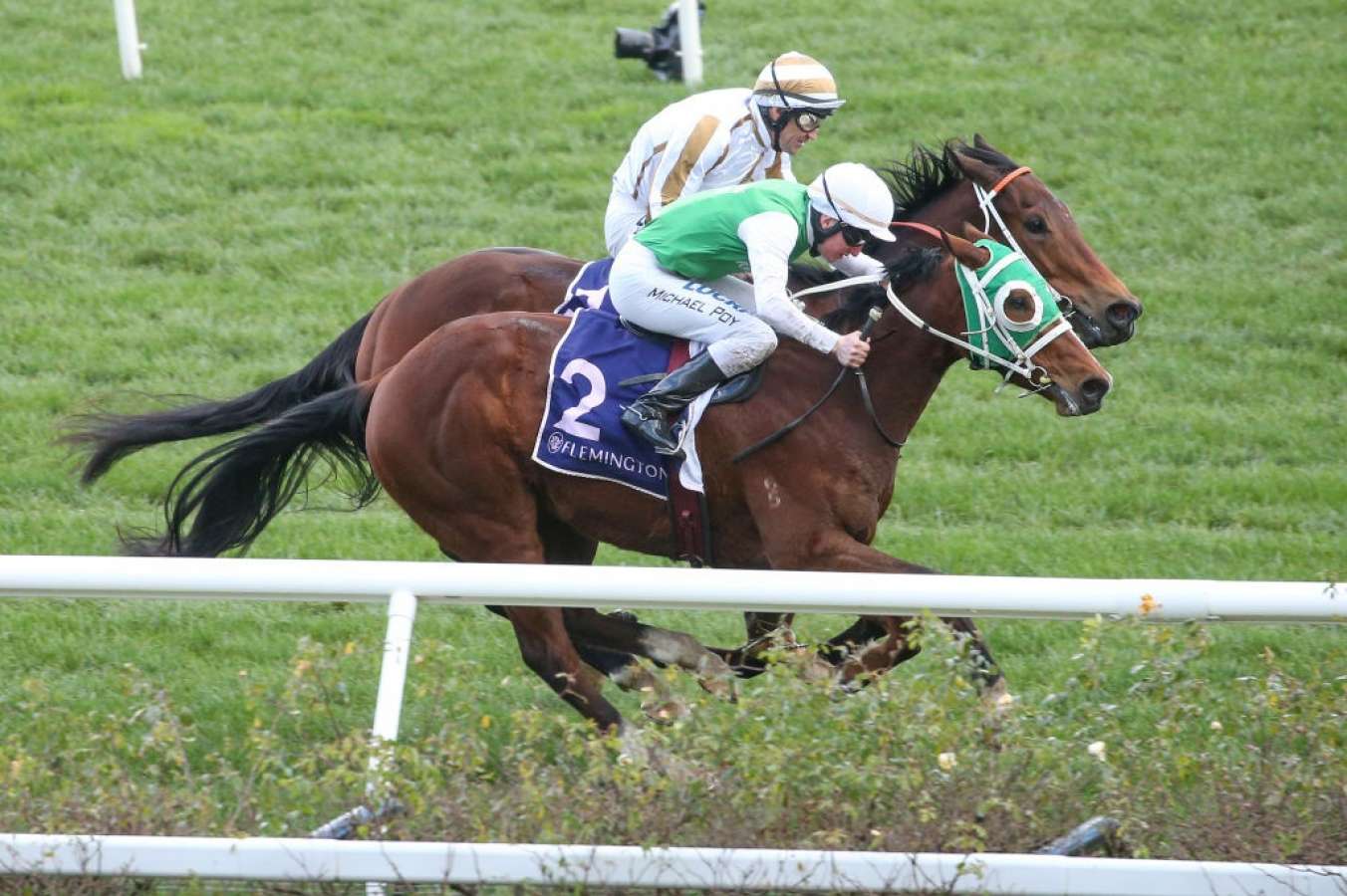 WATCH: The Inevitables jump-out heading into G1 Goodwood