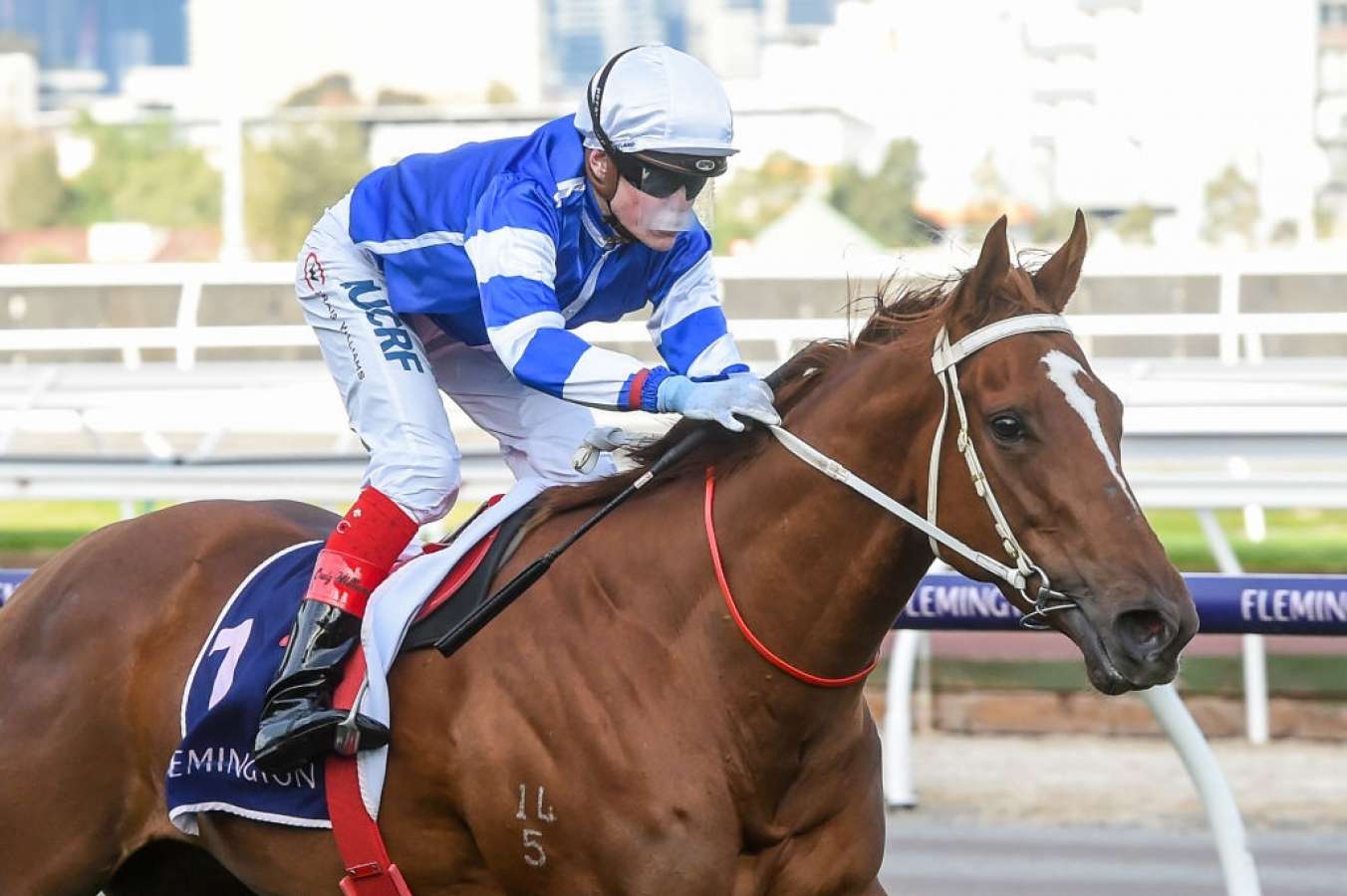 Gytrash defeats Sunlight in Irwin Stakes