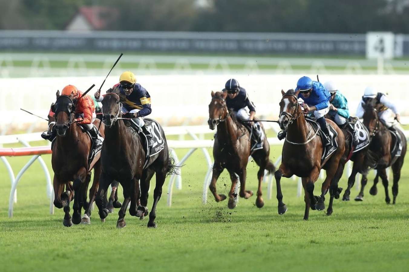 Doncaster Mile 2020: Runner-by-runner preview and tips