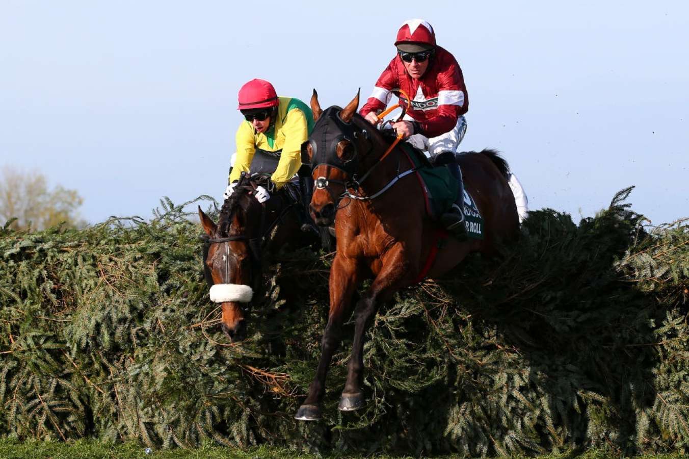 Tiger Roll owner slams ridiculous rating for historic Grand National bid