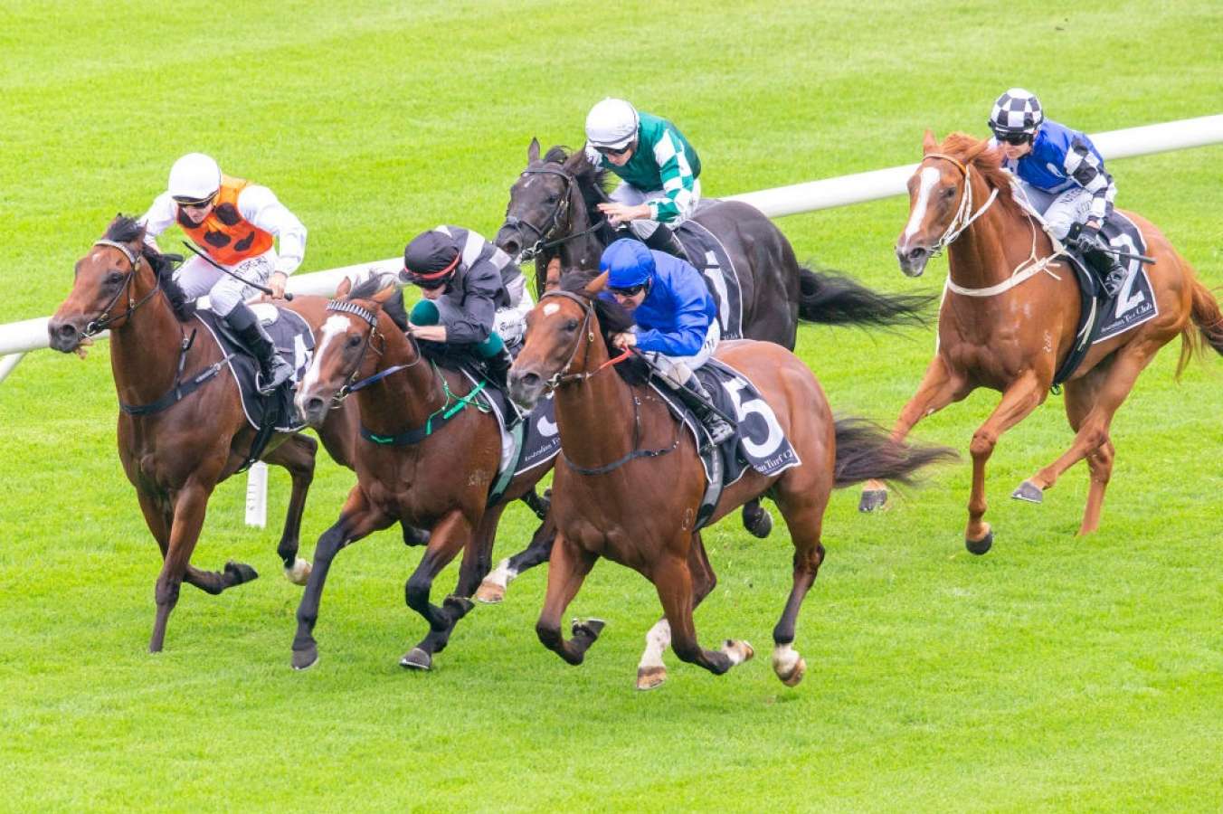 Splintex to follow Group One autumn path