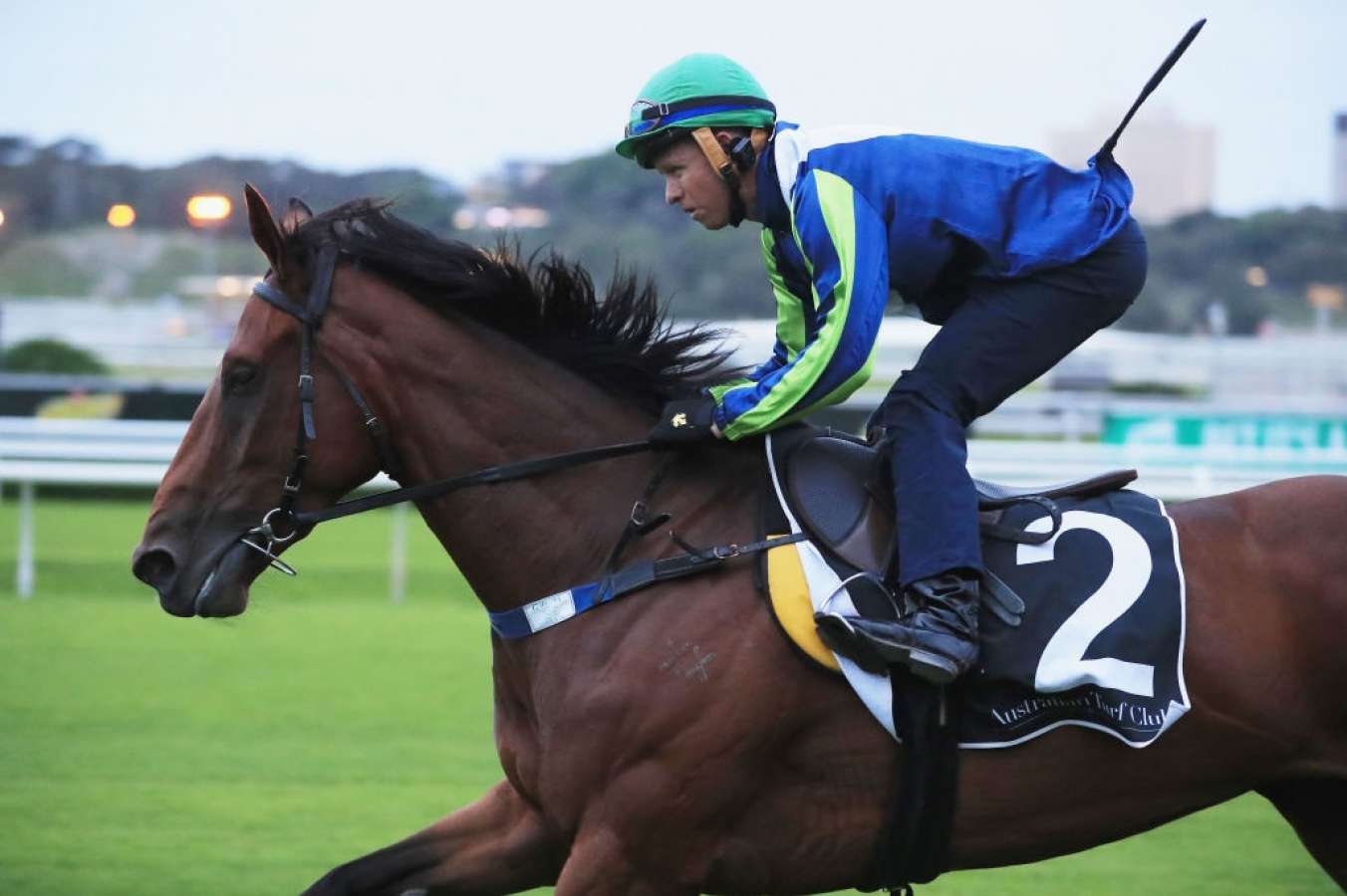 Luvaluva to extend summer campaign