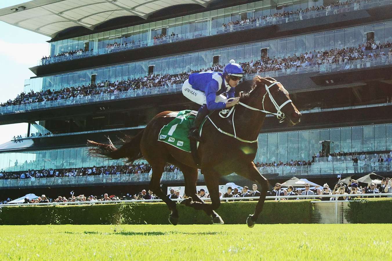 Winx is equal No.1 in the world