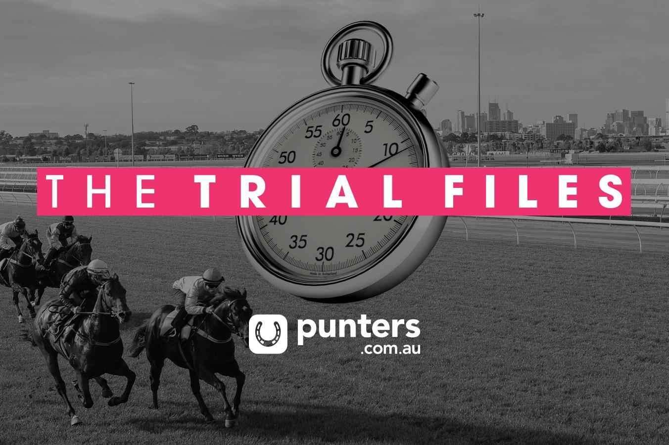 The Trial Files Review: Balnarring Jump-outs, November 15