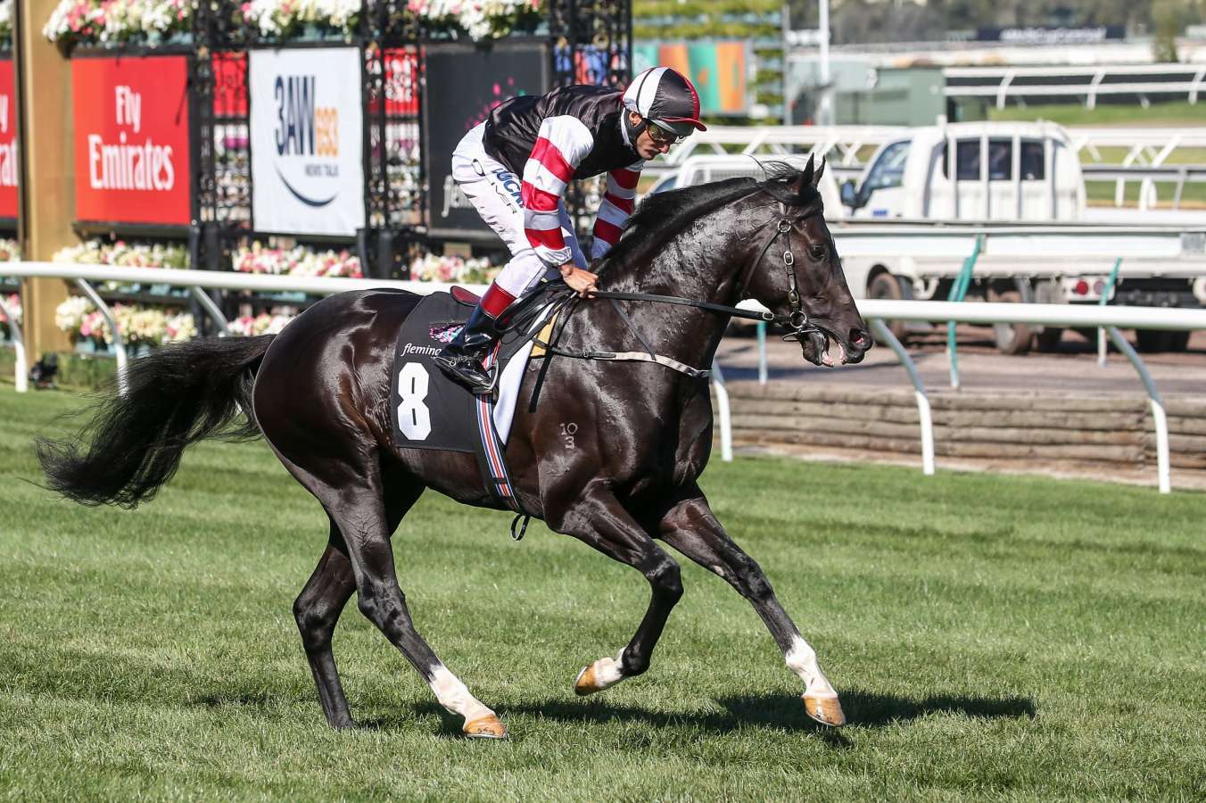 Newitt set to jet in for ride on So Si Bon in G1 Kennedy Mile