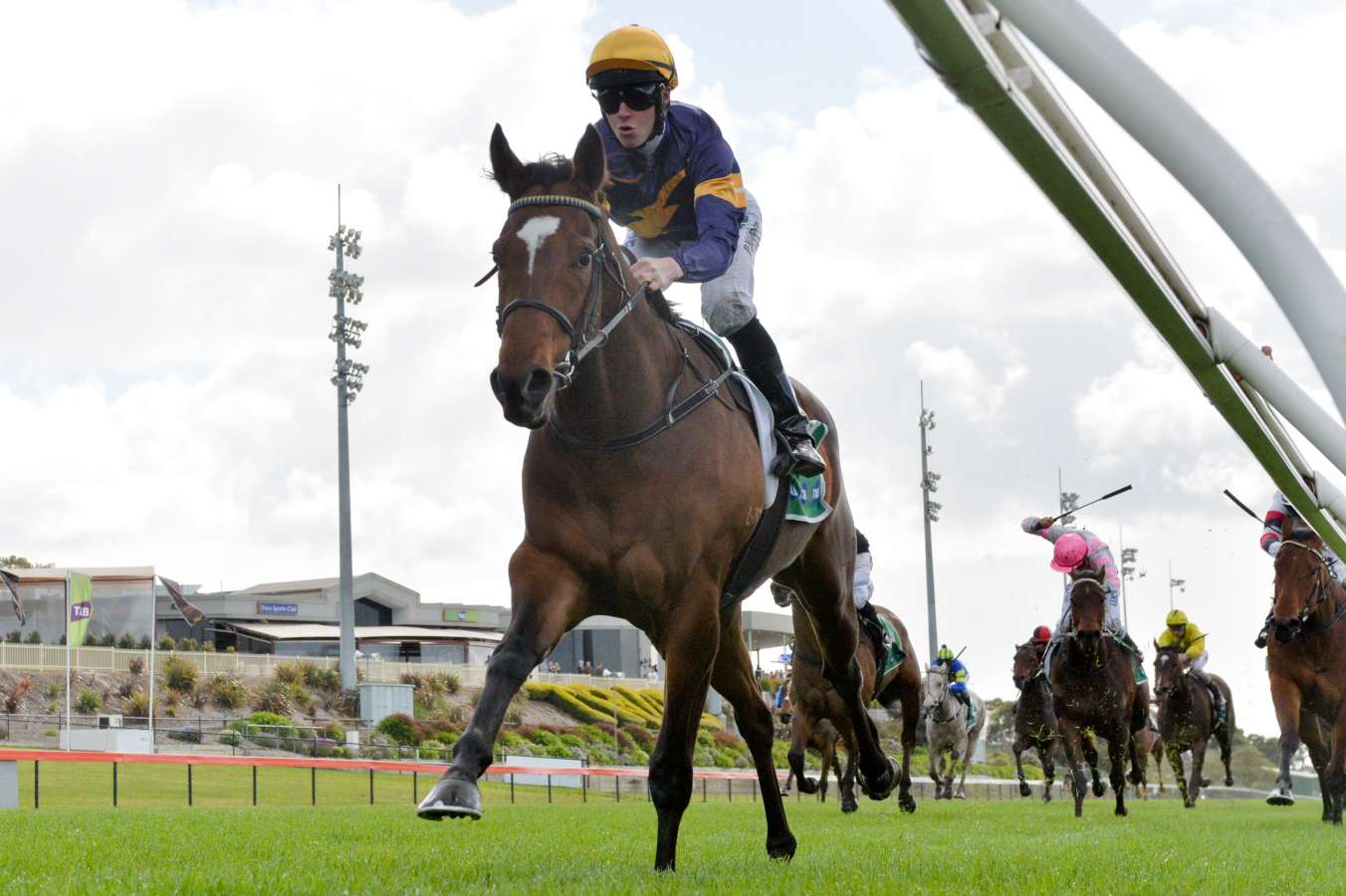 Metson faces stakes test at second start