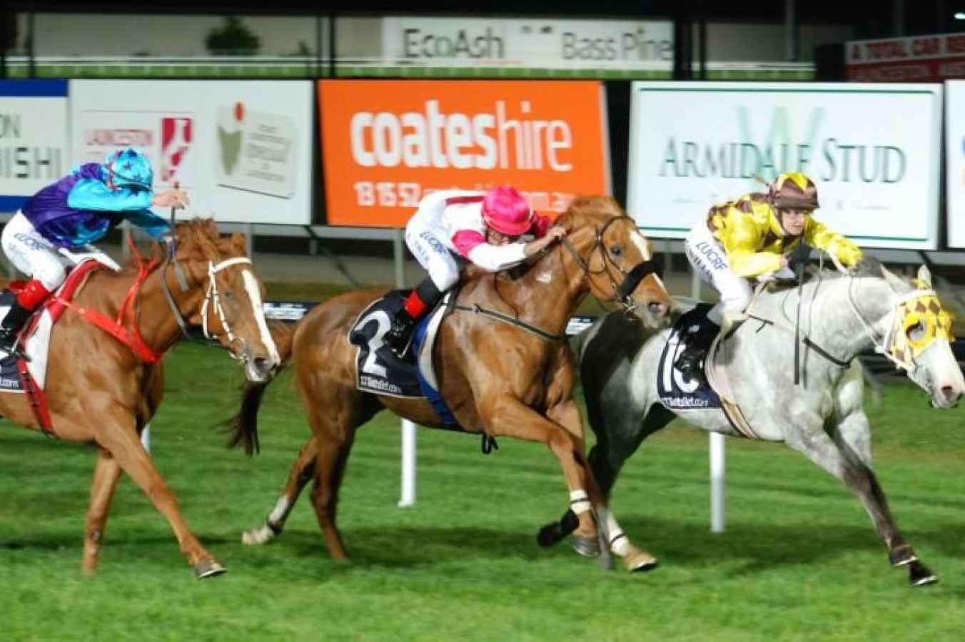 Launceston preview and tips: Wednesday April 5